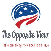 The School Bus Driver Shortage Is Real! Why Is It Still Happening ...